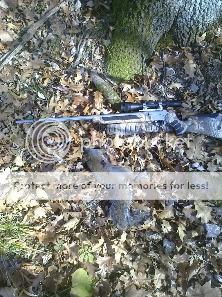 contender vs g2 vs encore -help! | Rimfire Central Firearm Forum