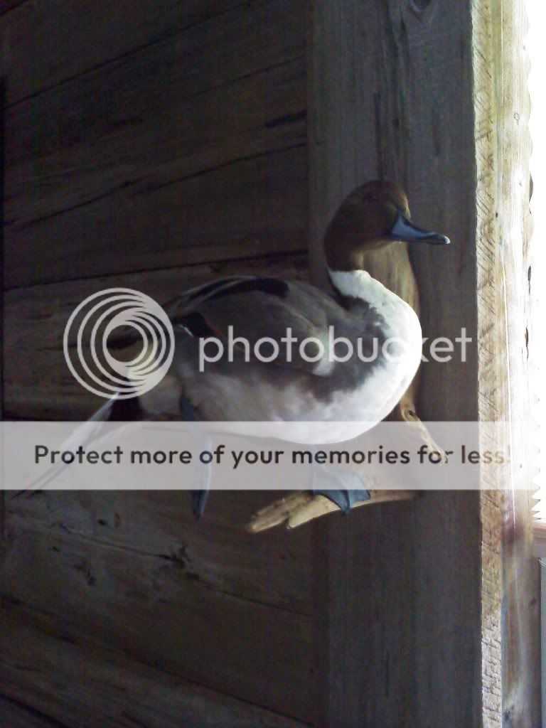 Mounts - Duck > Bird Hunting > AR15.COM